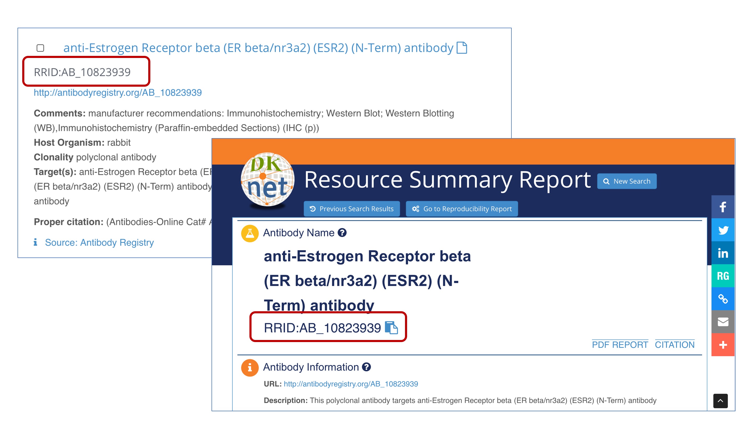 dkNET | Research Resource Identifier